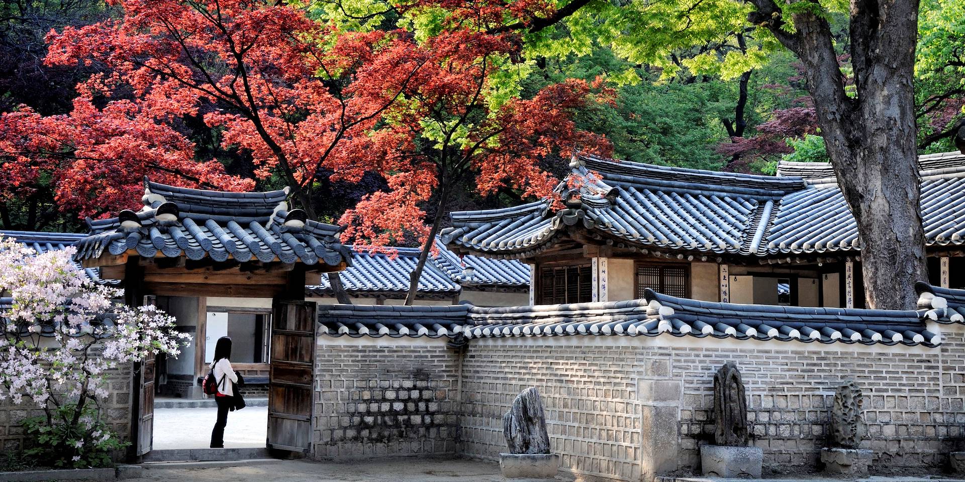 Mieux connaître la Corée du Sud | Conseils voyage Corée du sud