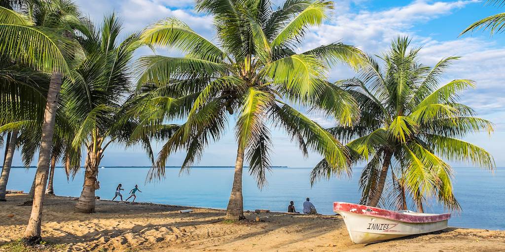 Faune et flore du Belize | Conseils voyage Belize