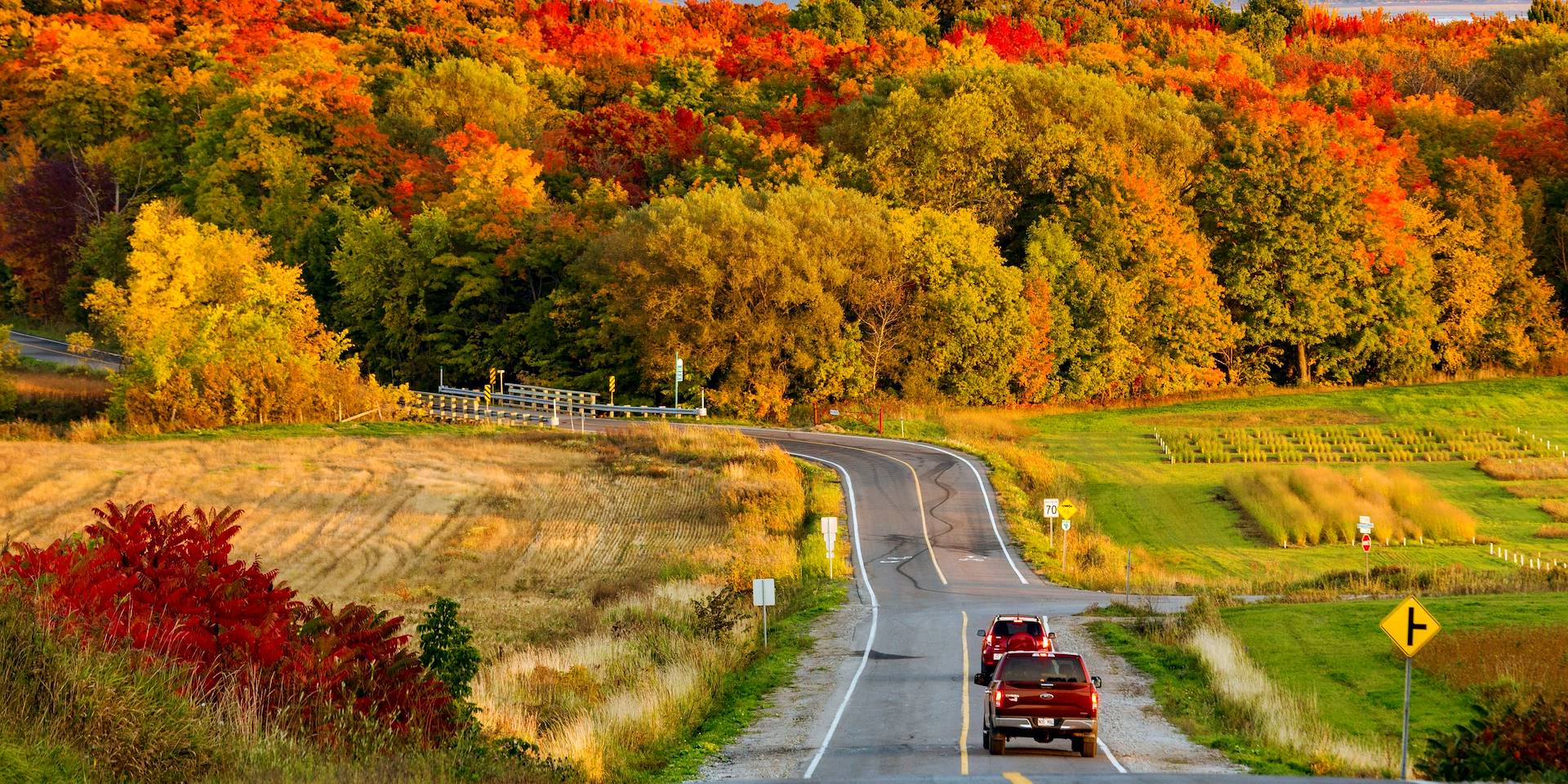 Faune et flore du Canada | Conseils voyage Canada