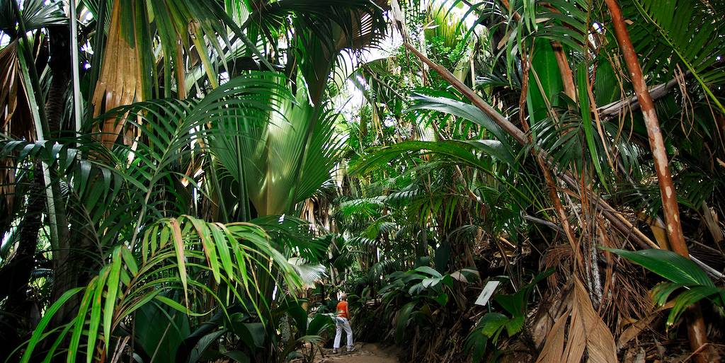 L'environnement aux Seychelles | Conseils voyage Seychelles