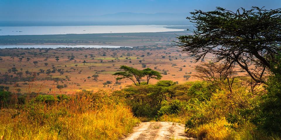 Voyage Ouganda sur mesure - Agence Comptoir des Voyages