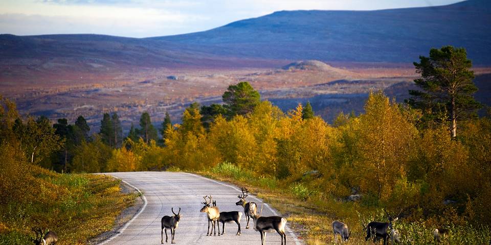 Voyage Finlande sur mesure - Agence Comptoir des Voyages