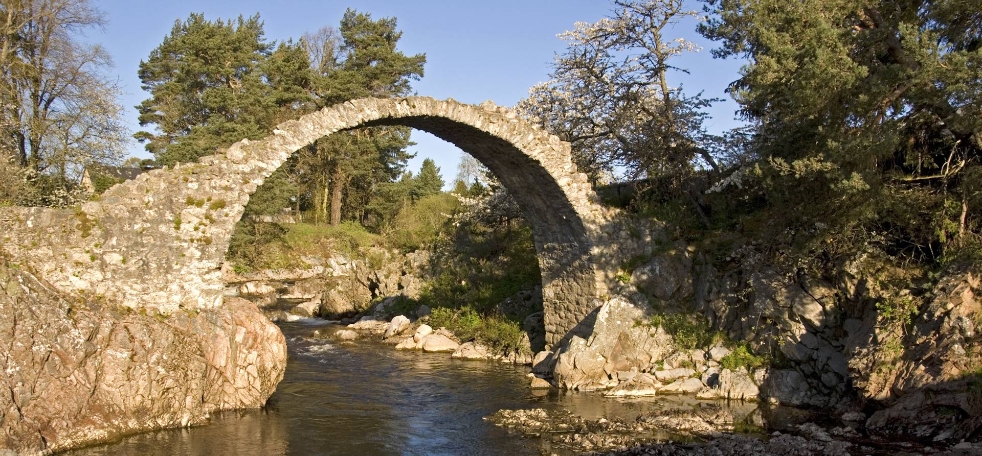 Voyage Carrbridge | Ecosse