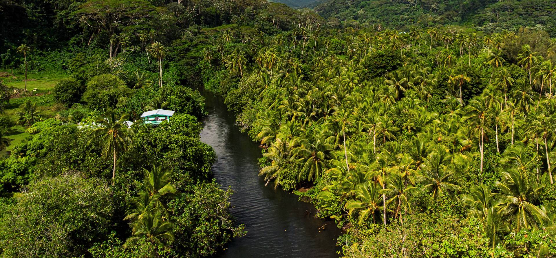 Voyage Rivière Faaroa - Raiatea | Polynésie