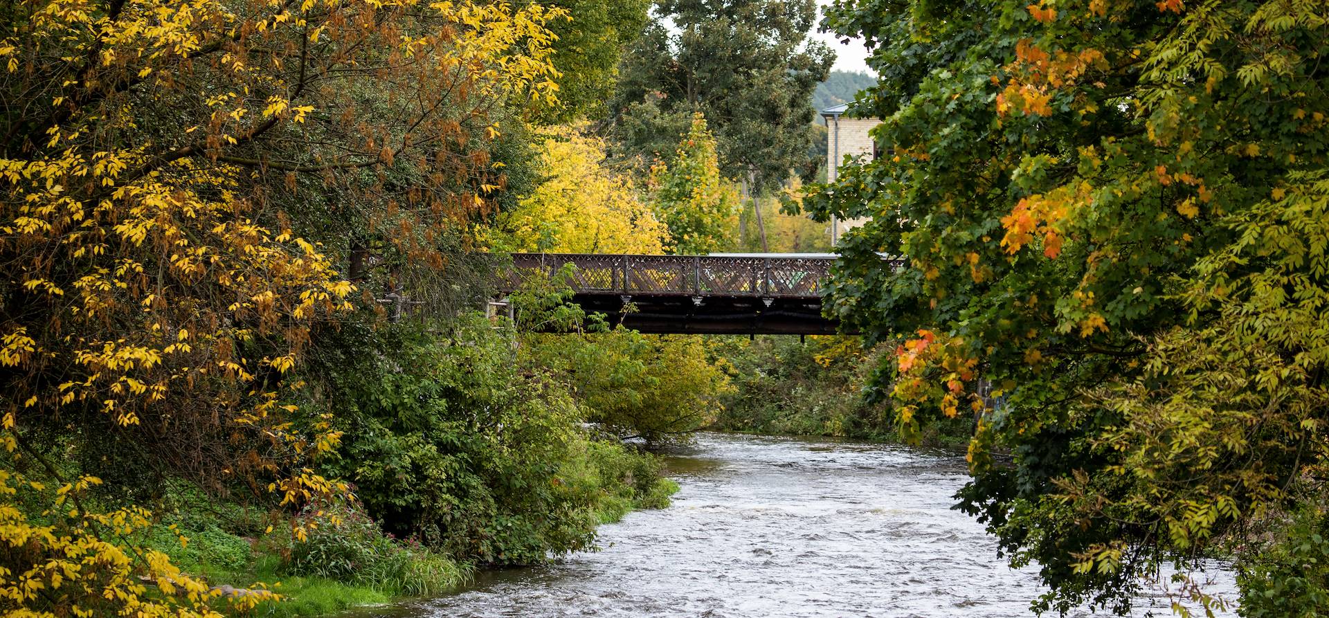 Voyage Rivière Vilnia | Lituanie
