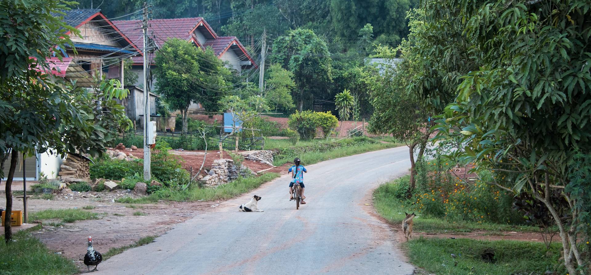 Voyage Muang La | Laos